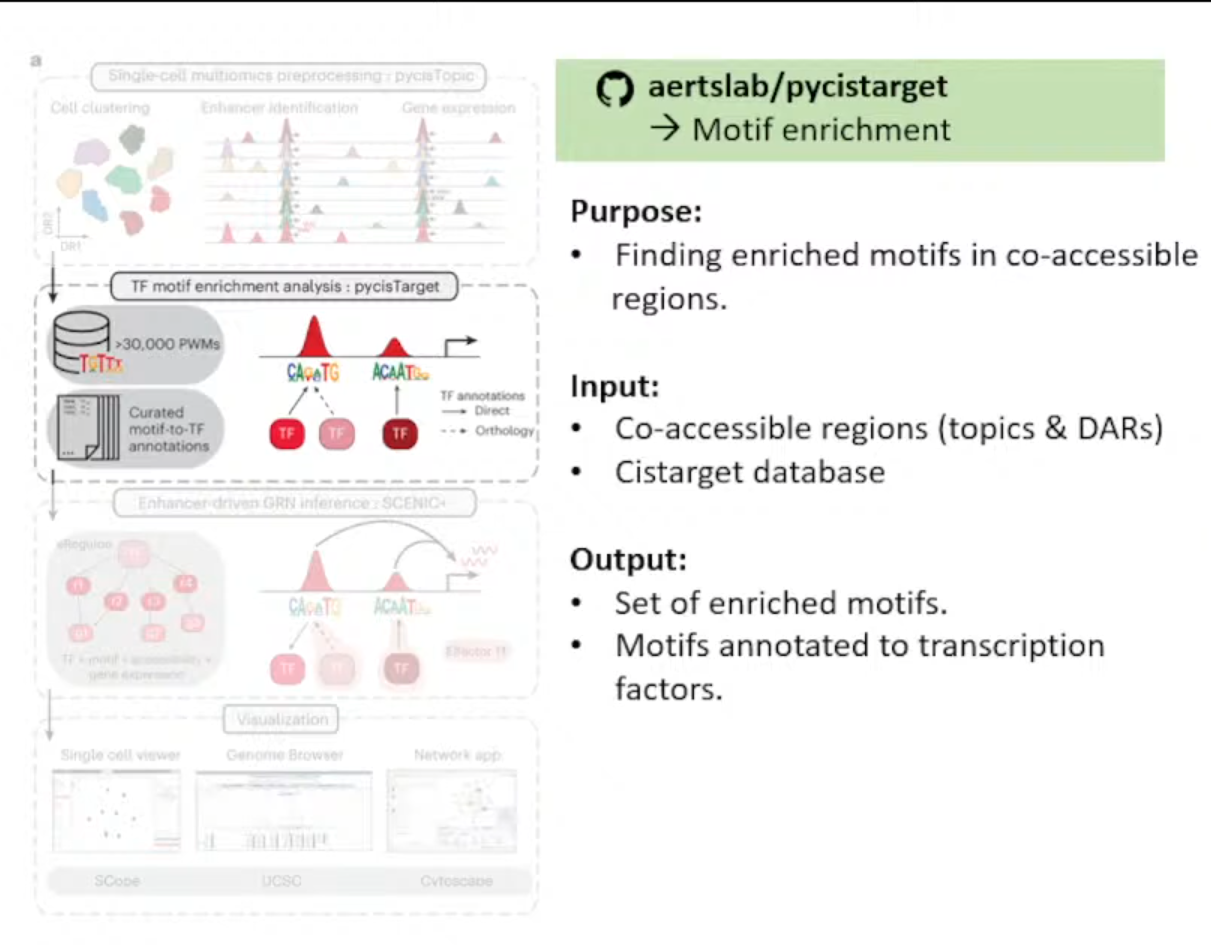 SCENIC+ 的网络研讨会笔记 | CZHanoi
